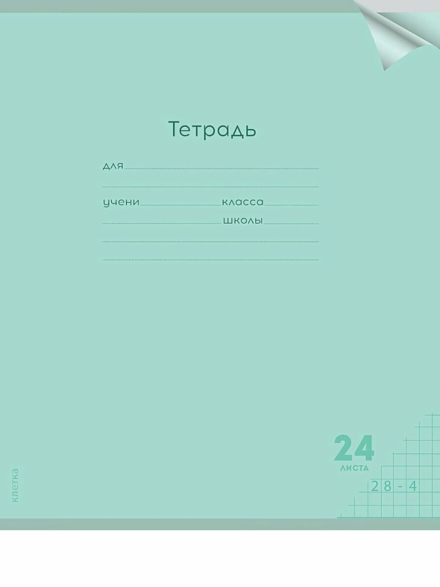 Тетрадь а5 клетка 24 листа, зеленая, прозрачная пластиковая обложка для школы