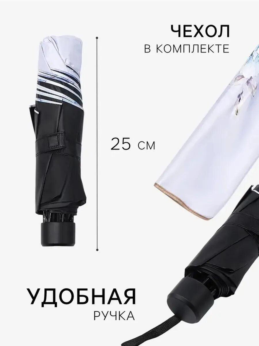 Зонт