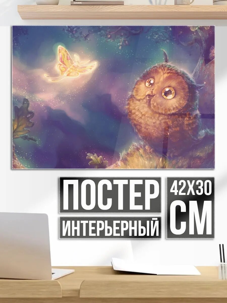 Плакат постер Сова и бабочка