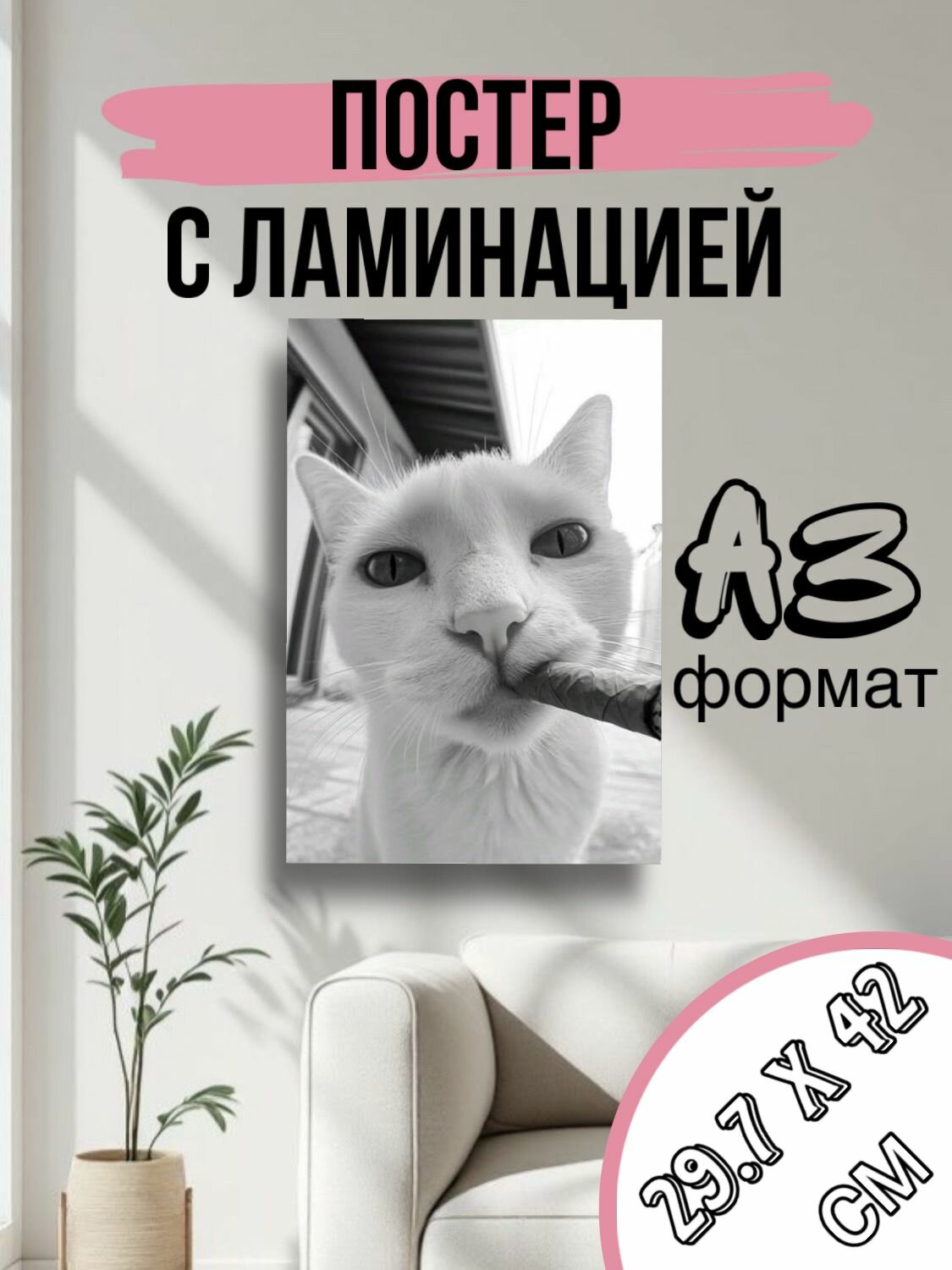 Постер