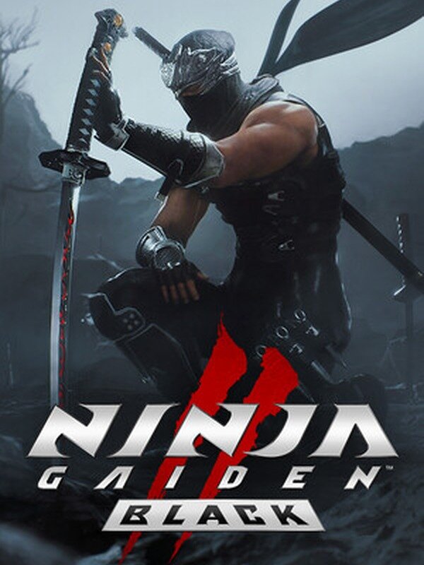 Игра NINJA GAIDEN 2 Black Steam Gift |PC/ПК| регион Россия | Подарок Стим