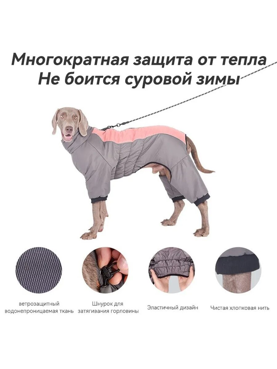 Платья для животных — фото 1