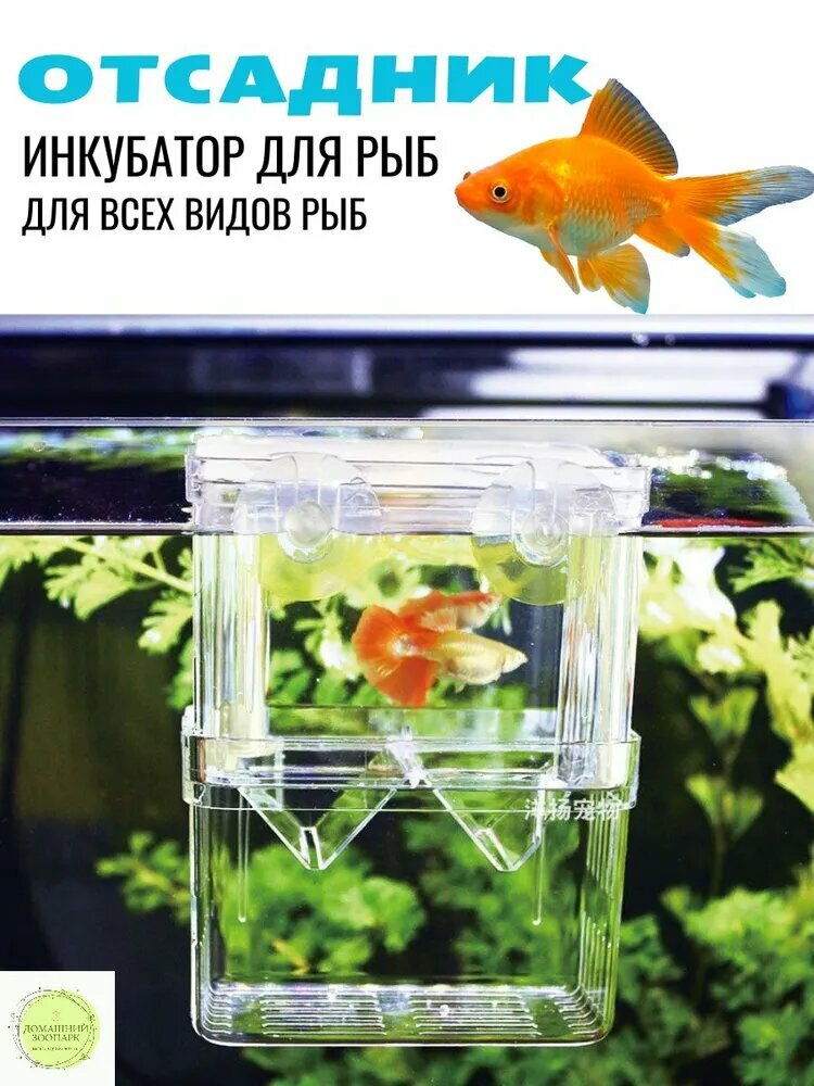 Изоляционный ящик для аквариума, инкубатор для маленьких рыб, прозрачный, большой