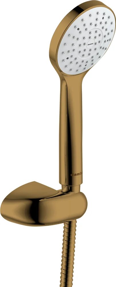 Душевая лейка Damixa Eclipse 914540000 золотой, матовый, лейка для душа со шлангом и держателем