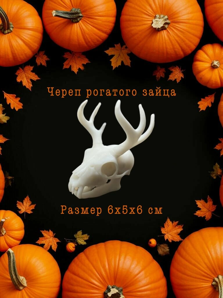 Череп вольпертингера (рогатого зайца)