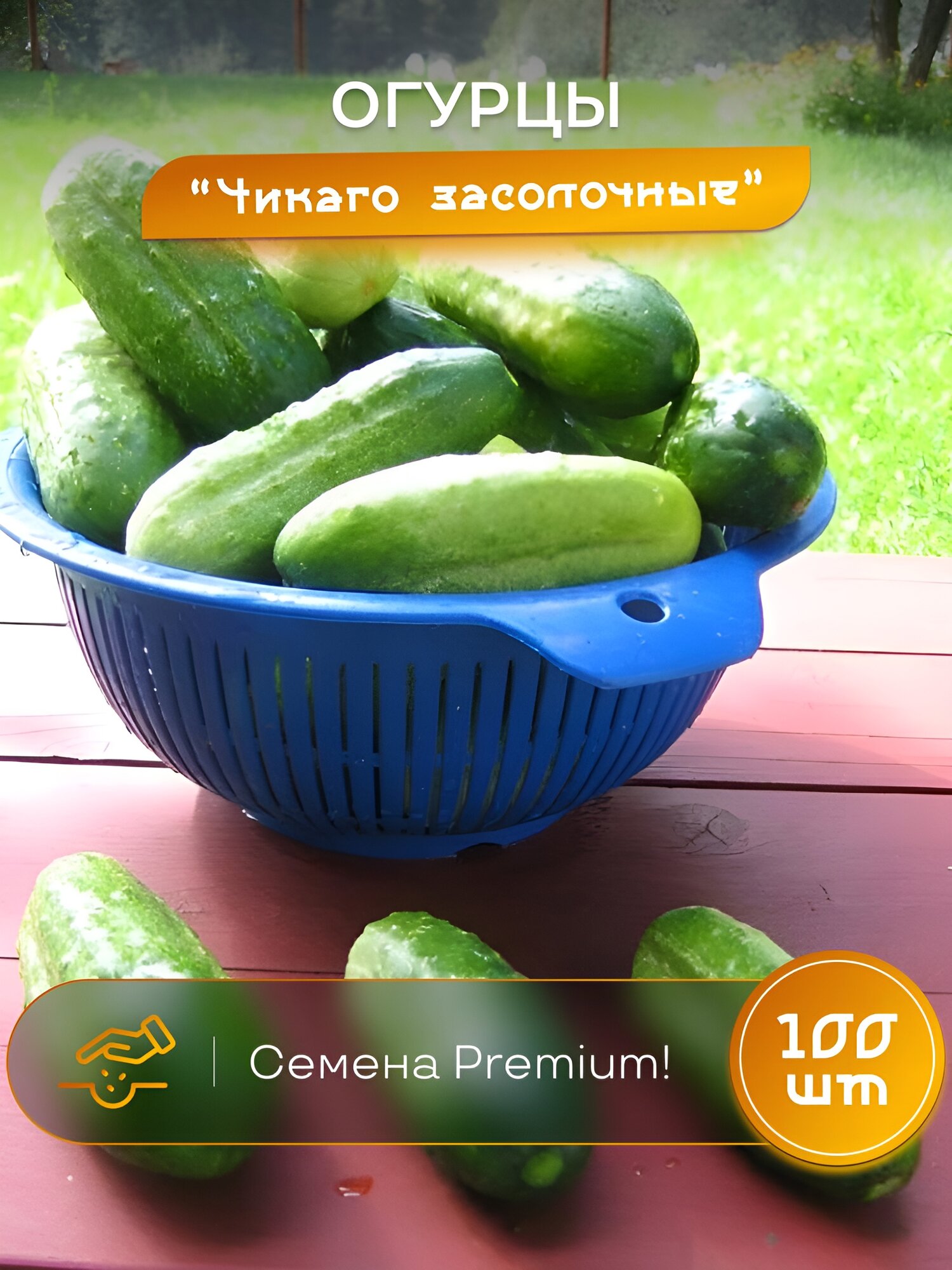 Огурец Чикаго засолочный семена премиум 100 штук