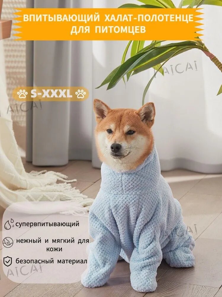 Одежда для животных