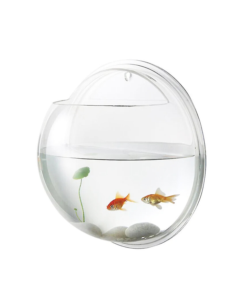 Аквариум на стену, висячий, крепление в наборе, 19,5 см. Прозрачный