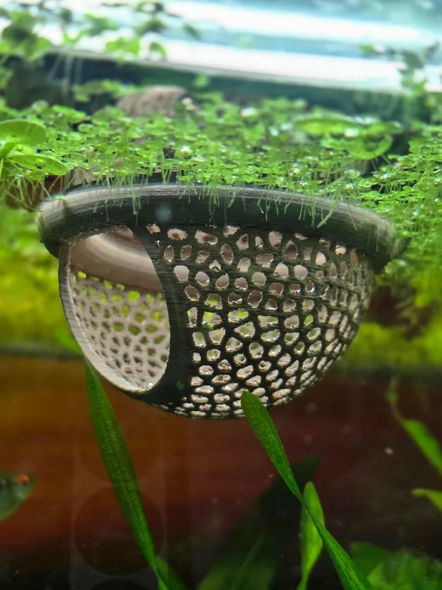 Домик для петушка в аквариум, украшение для аквариума, укрытие для рыбок