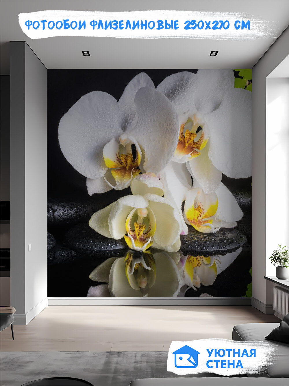 Фотообои Уютная стена "Прекрасные белы орхидеи крупным планом", флизелиновые, 250х270 см
