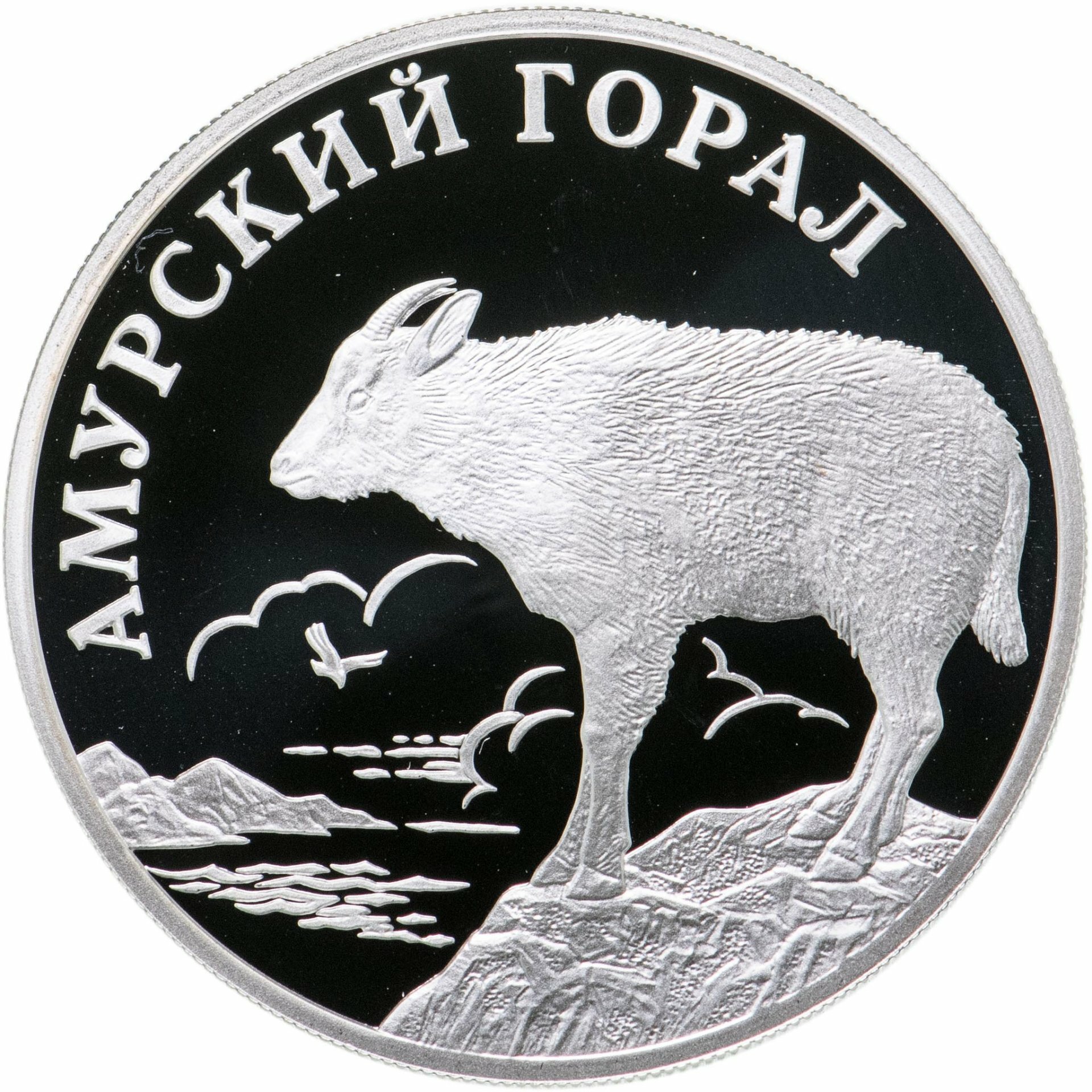 1 рубль 2002 СПМД Proof "Красная книга - Амурский горал", Серебро 900