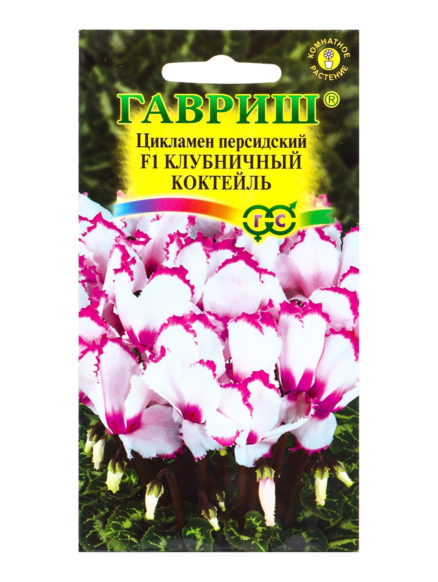 Семена цветов Цикламен персидский «Клубничный коктейль» F1, ароматный, 3 шт.