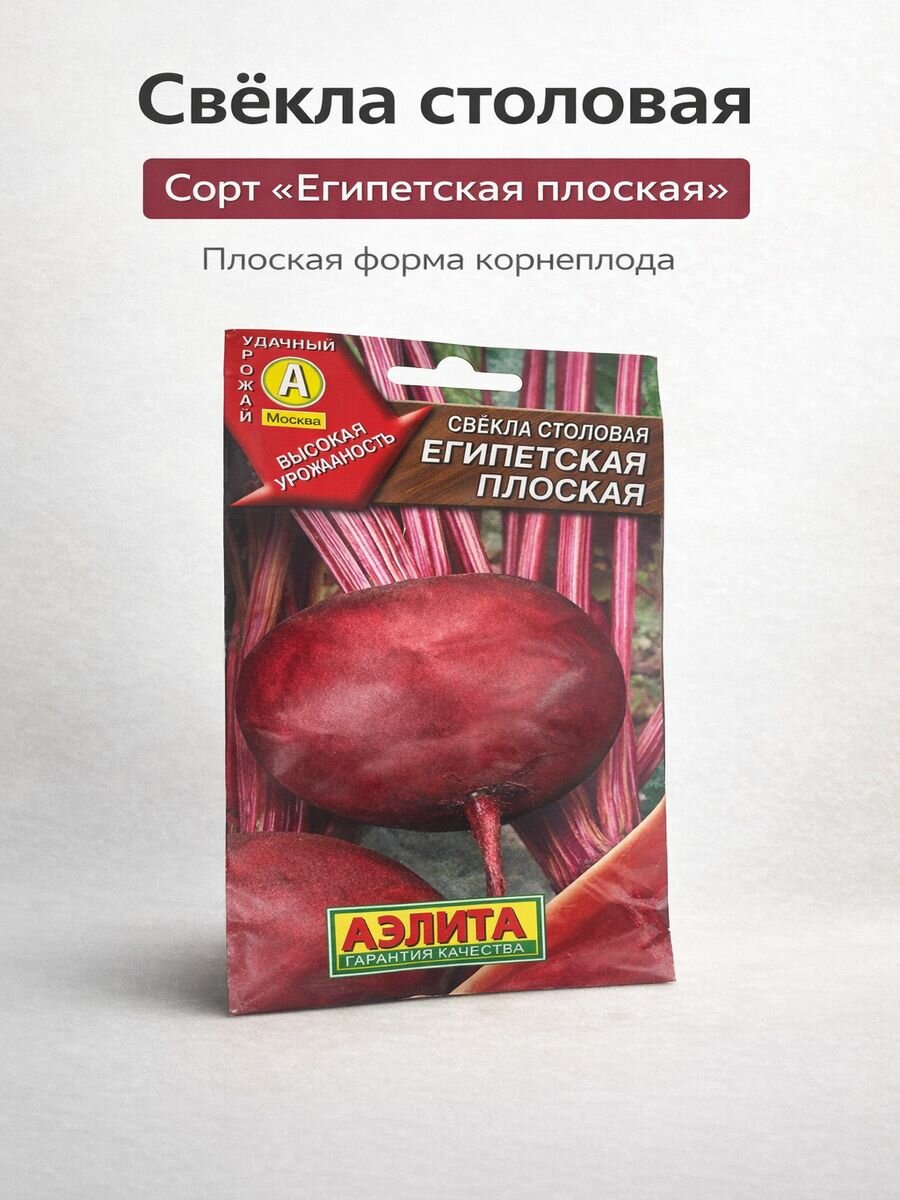 3шт Свёкла столовая Египетская плоская, семена, сорт для открытого грунта и хранения