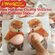 3D стикер "Щенок Шиба Ину", цвет A1