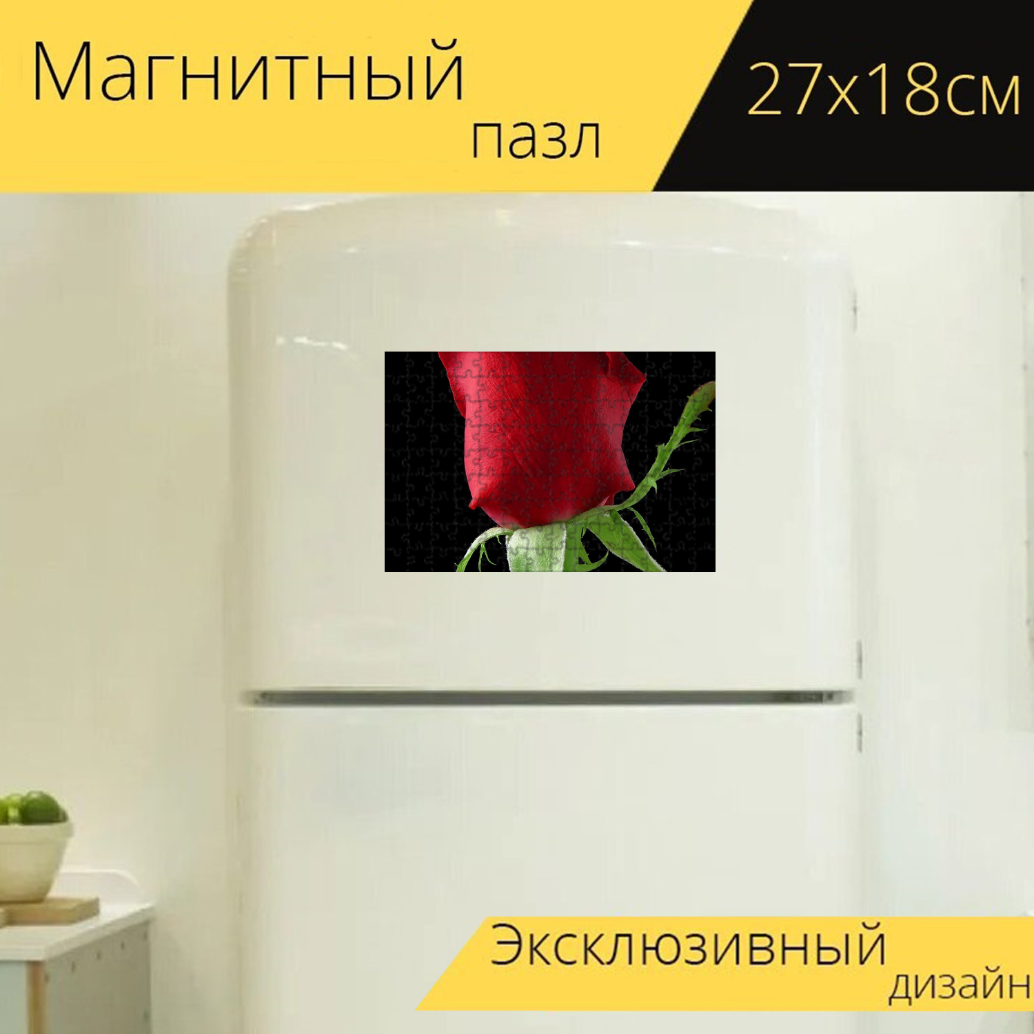 Магнитный пазл "Романтическая Красная роза Крупным планом вид свежей красной розы роза красная любовь цветок цветение общественное достояние обои." на холодильник 27 x 18 см.
