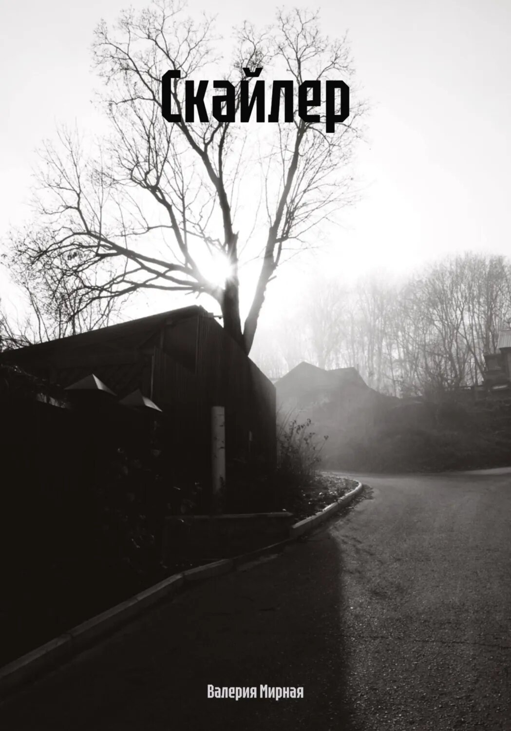 Скайлер [Цифровая книга]