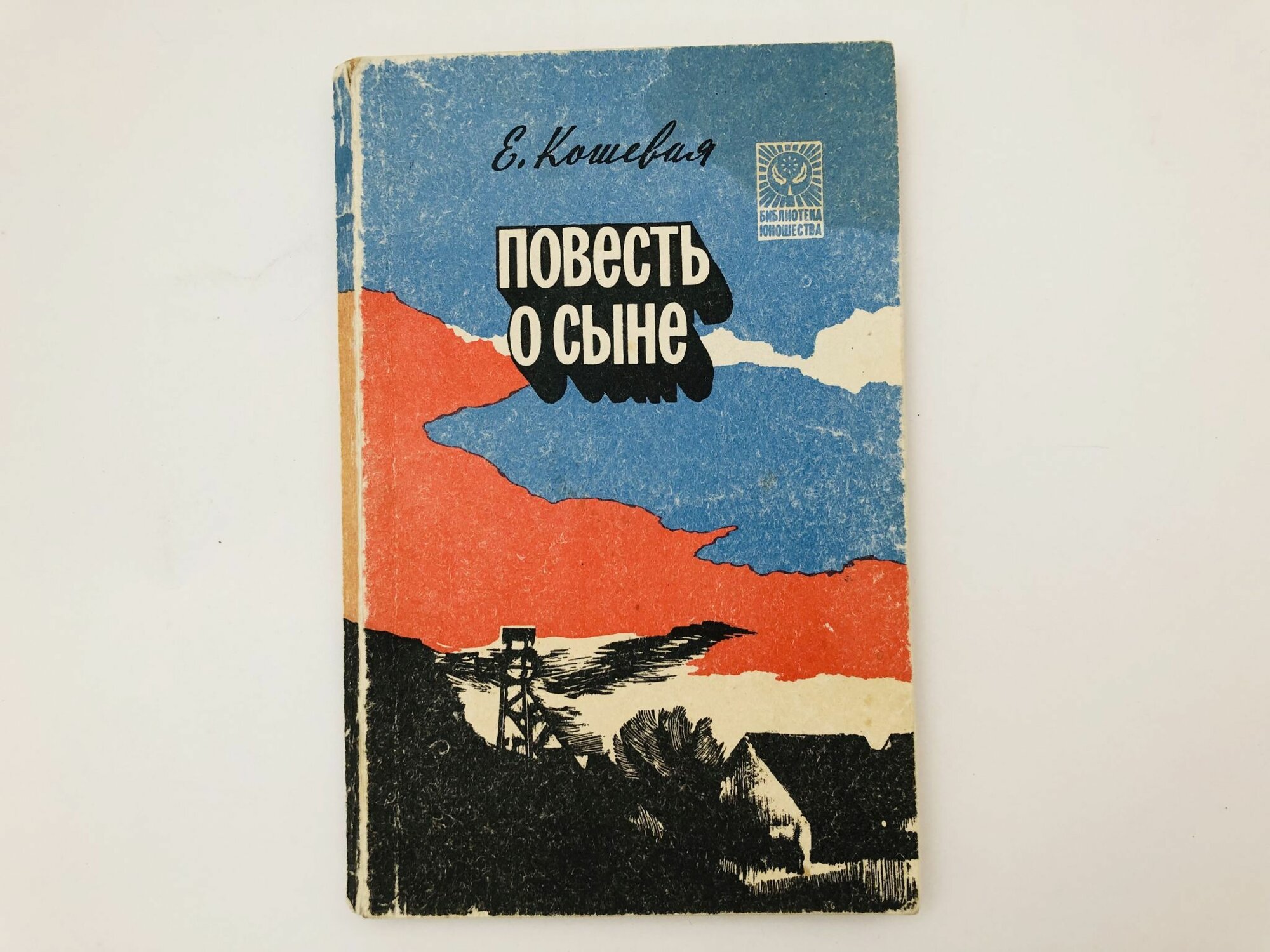 Повесть о сыне. Документальная повесть