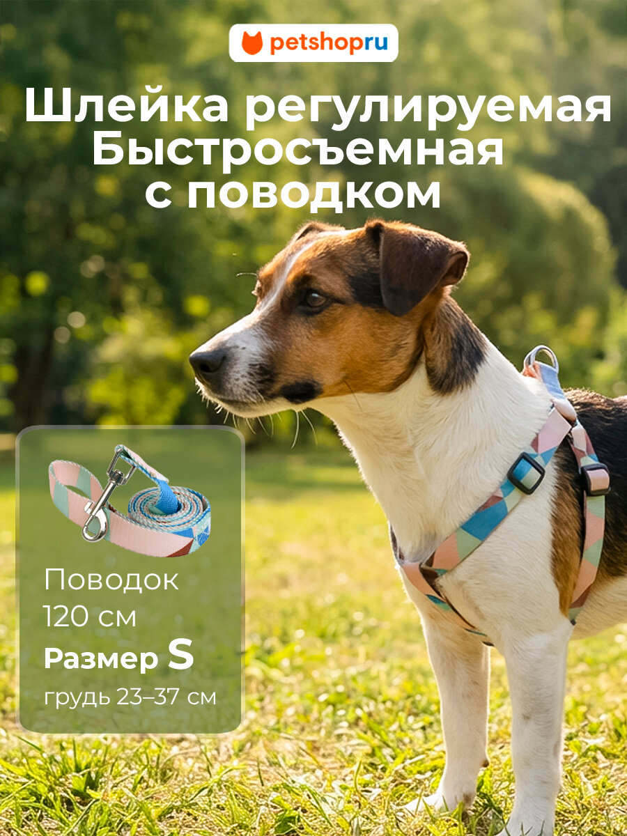 PETSHOP Шлейка с поводком для собак регулируемая "Пикси", голубой-розовый, S
