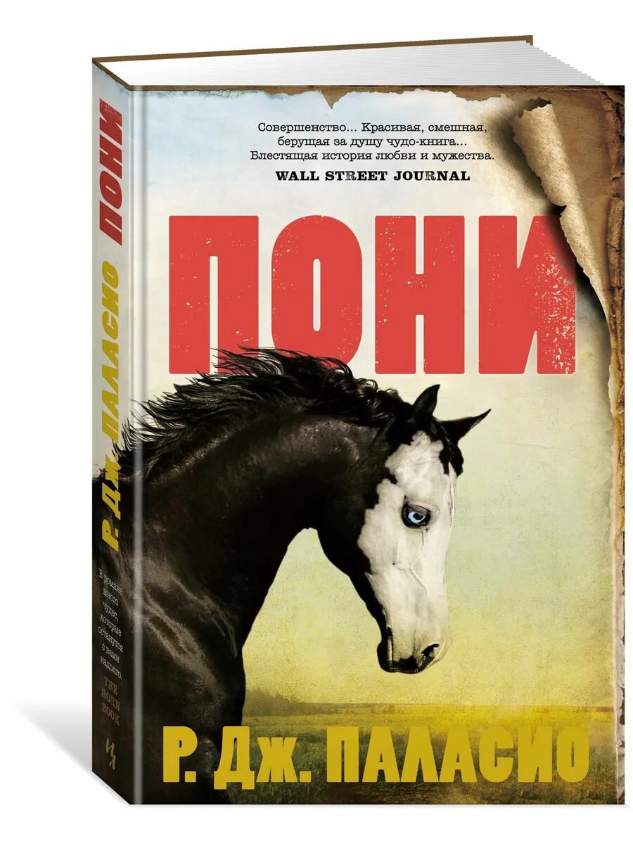 Пони