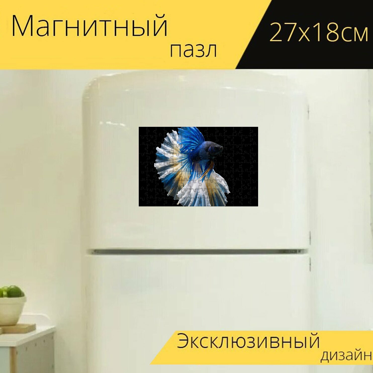 Магнитный пазл "Синяя бойцовая рыбка бетта. Изящная аквариумная рыбка с пышными полупрозрачными плавниками на черном фоне. Сине-белые и золотистые." на холодильник 27 x 18 см.