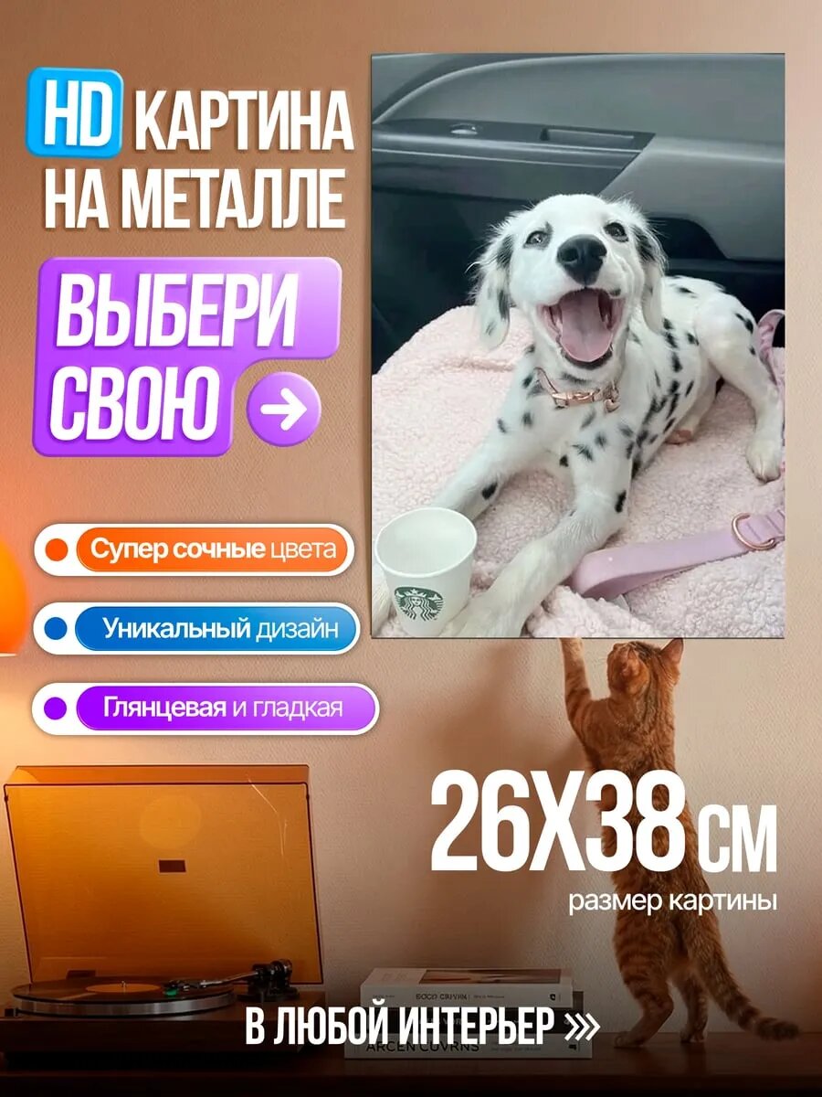 Картина на HD металле Щенок далматинца