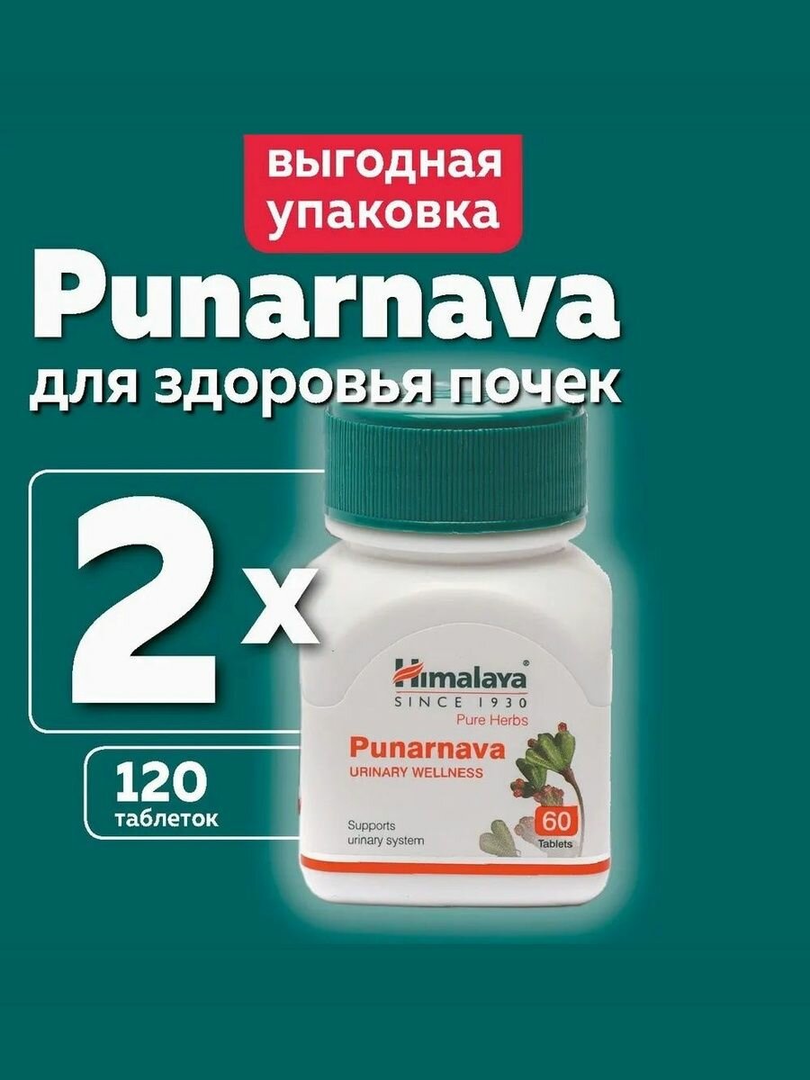 Пунарнава Гималая, Punarnava Himalaya Herbals, пищевая добавка для здоровья почек, 2 шт по 60 таб.