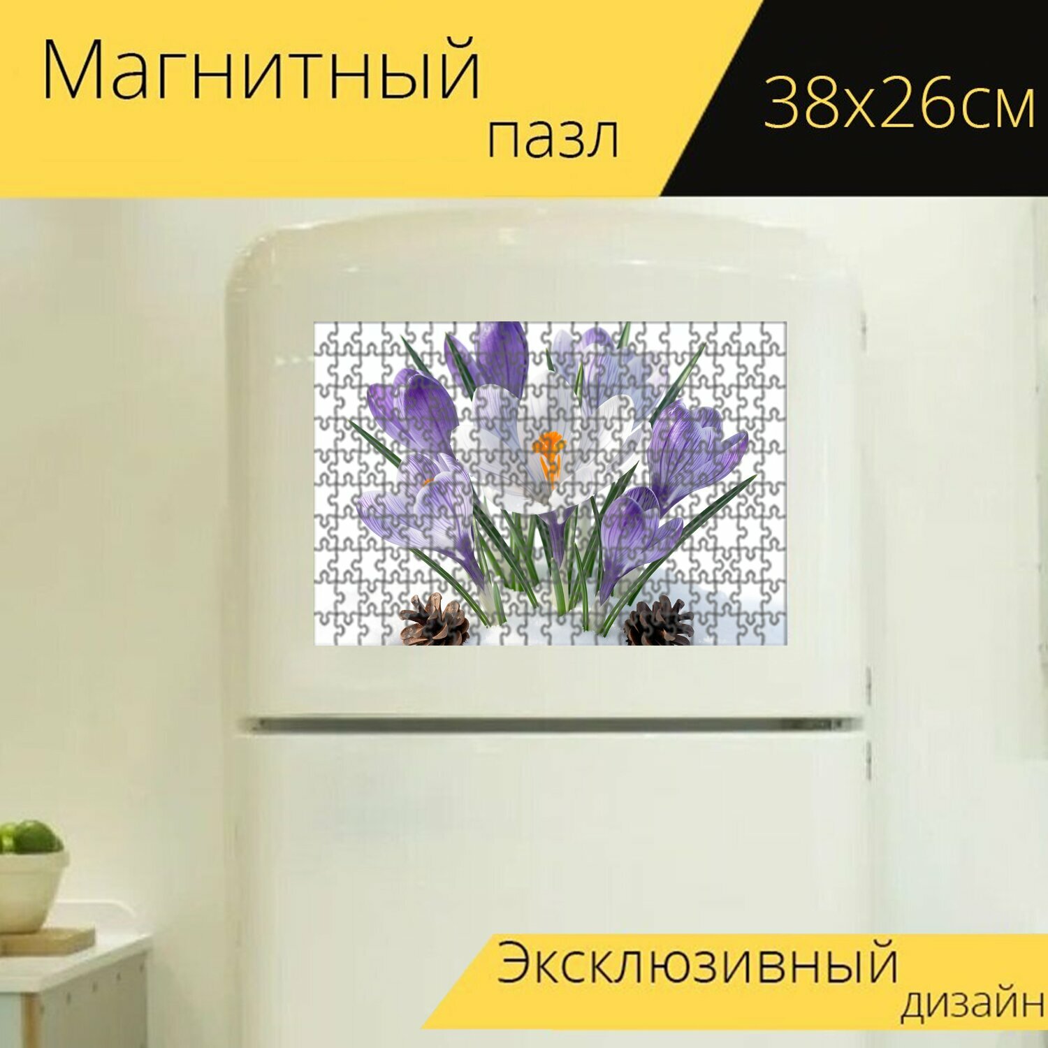 Магнитный пазл "Весенние крокусы в снегу. Нежные сиреневые и белоснежные первоцветы с оранжевыми тычинками пробиваются сквозь снежный покров." для интерьера, 38х26 см.