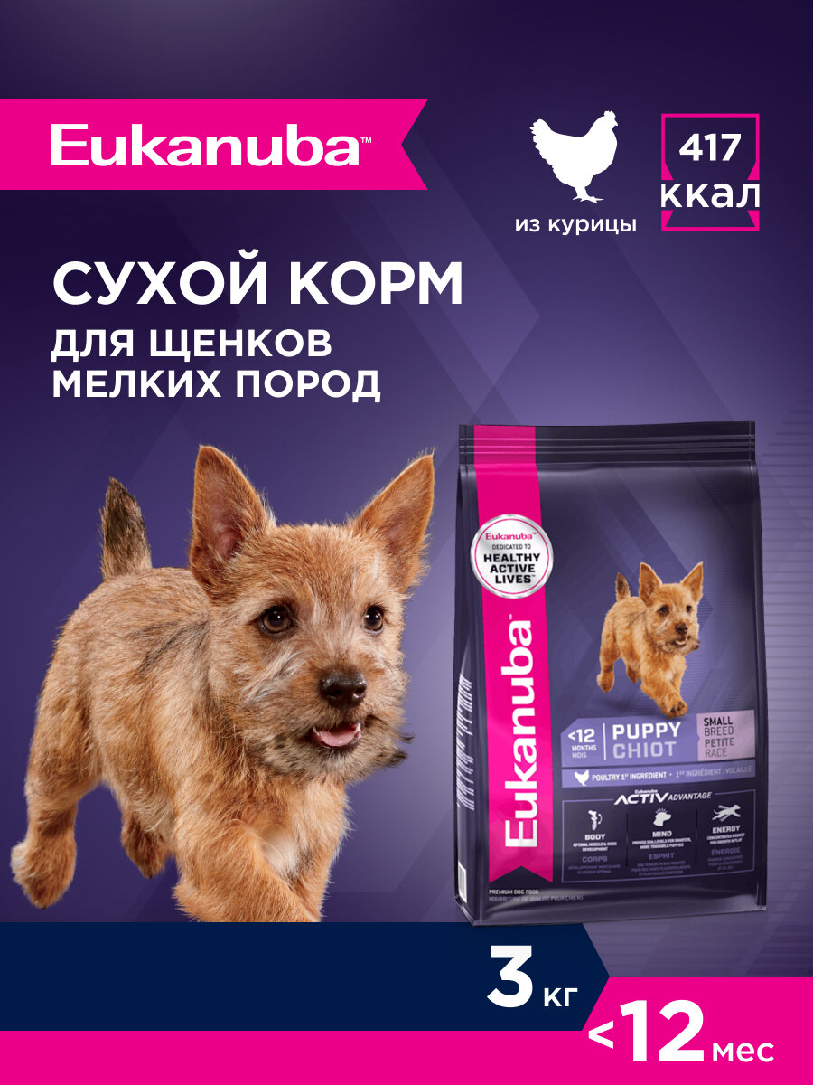 Сухой корм для щенков Eukanuba Puppy Small Breed для мелких пород , 3 кг