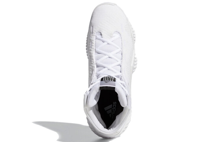 Кеды adidas Pro Bounce 2018, размер 48 2/3 EU, белый, черный — фото 1