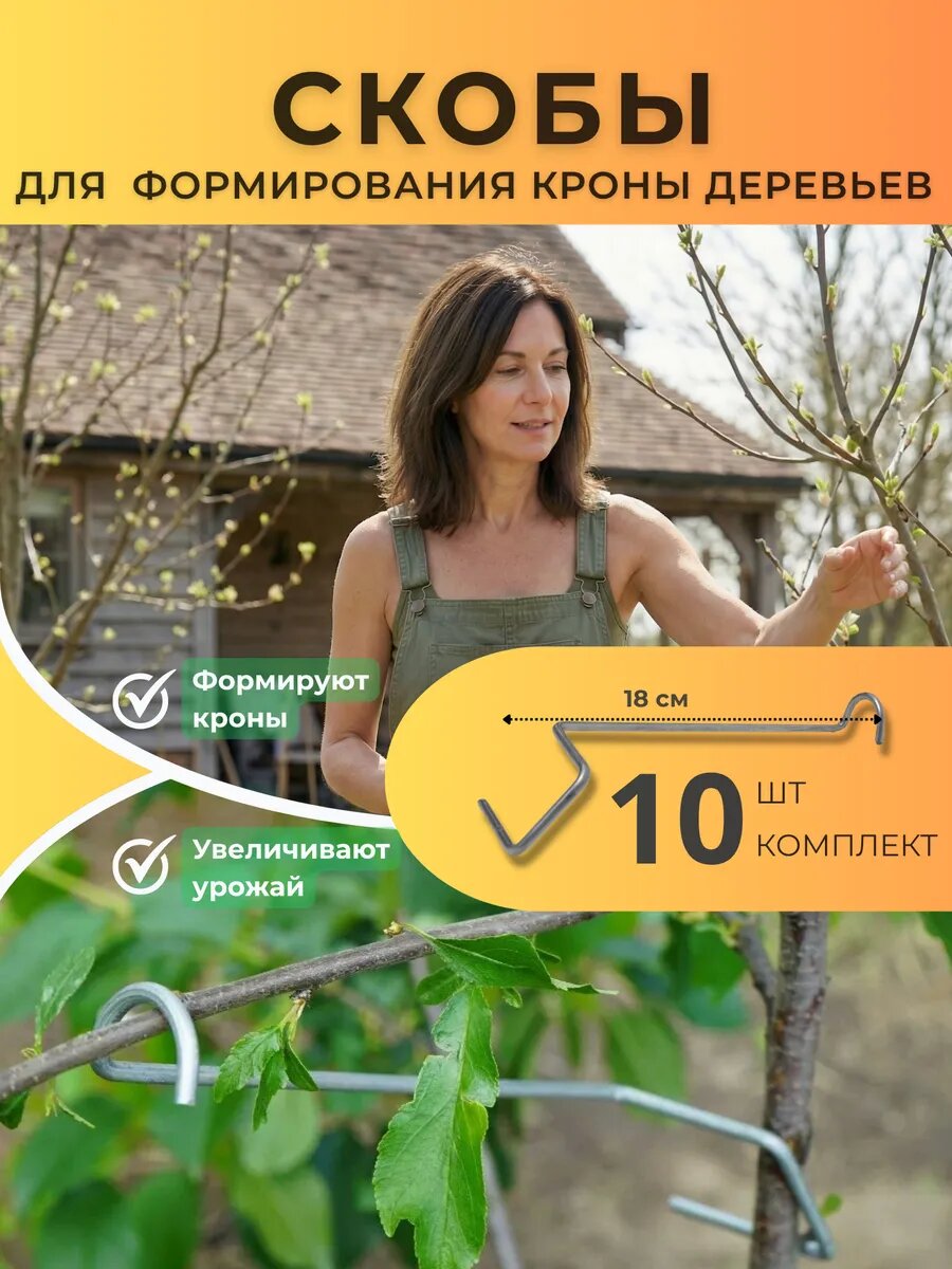Скобы держатели для веток плодовых деревьев (веткодержатели 10 шт)