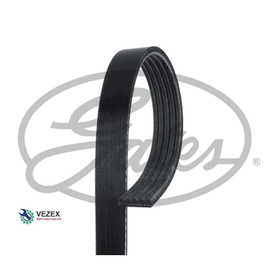 GATES 5PK1645 Поликлиновой ремень 5PK1645 (8653-10359)