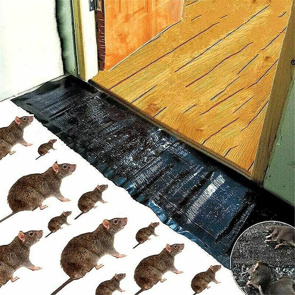 Mousetrap/Rat Trap — фото 1