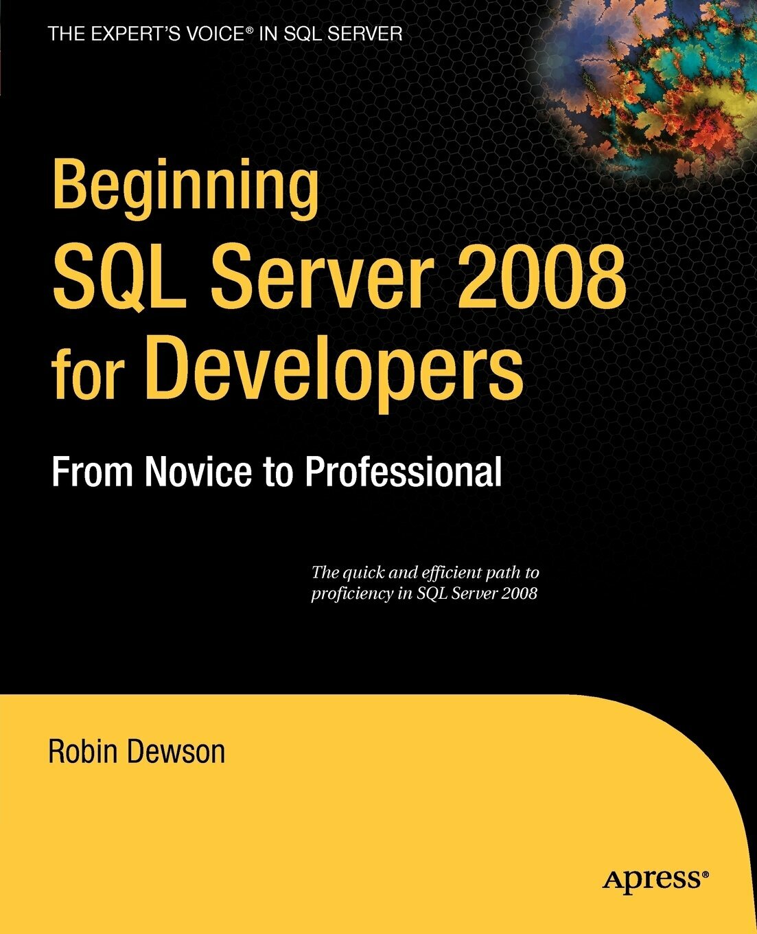 Beginning SQL Server 2008 for Developers. From Novice to Professional — фото 1