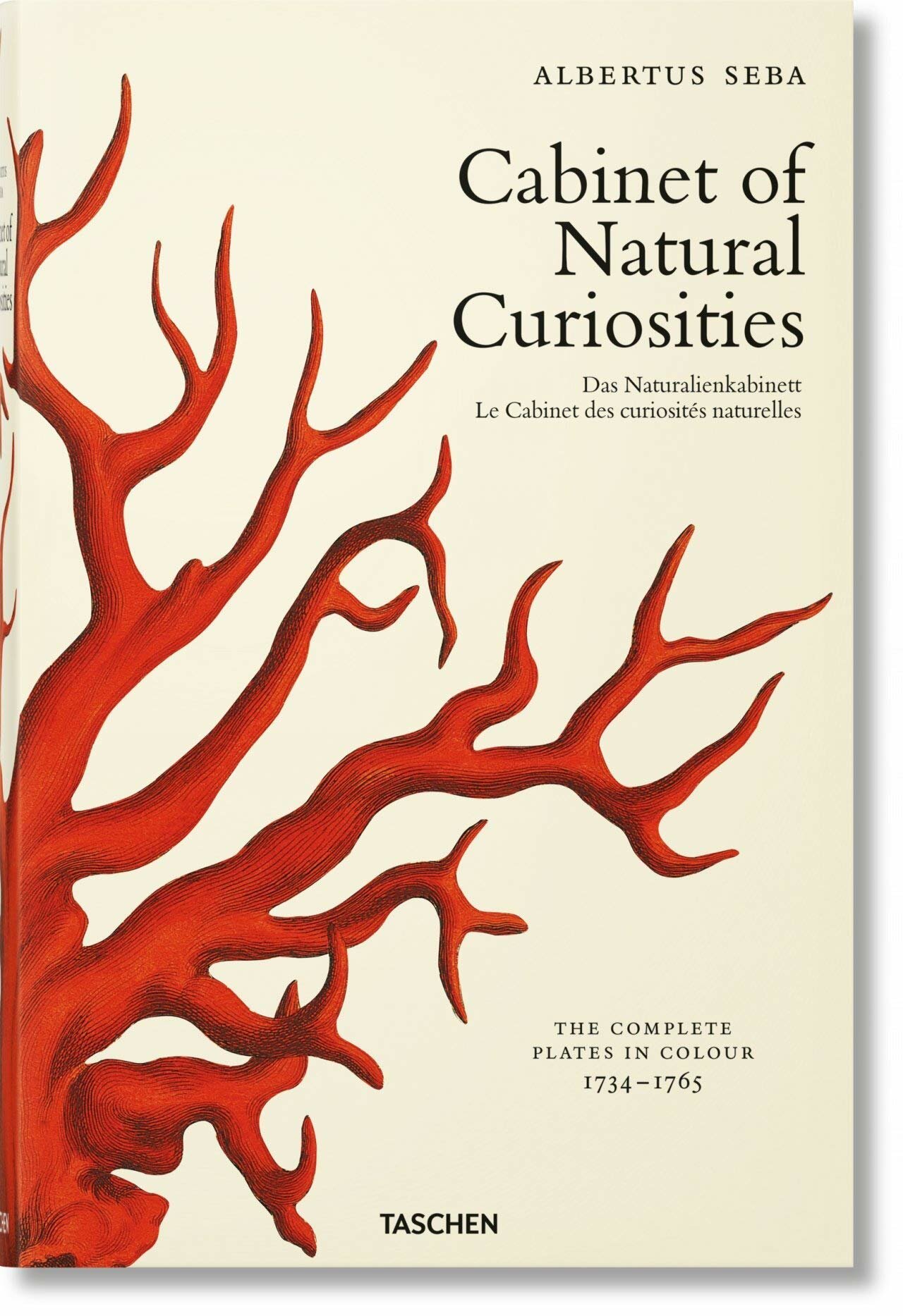 Cabinet of Natural Curiosities / Книги об искусстве