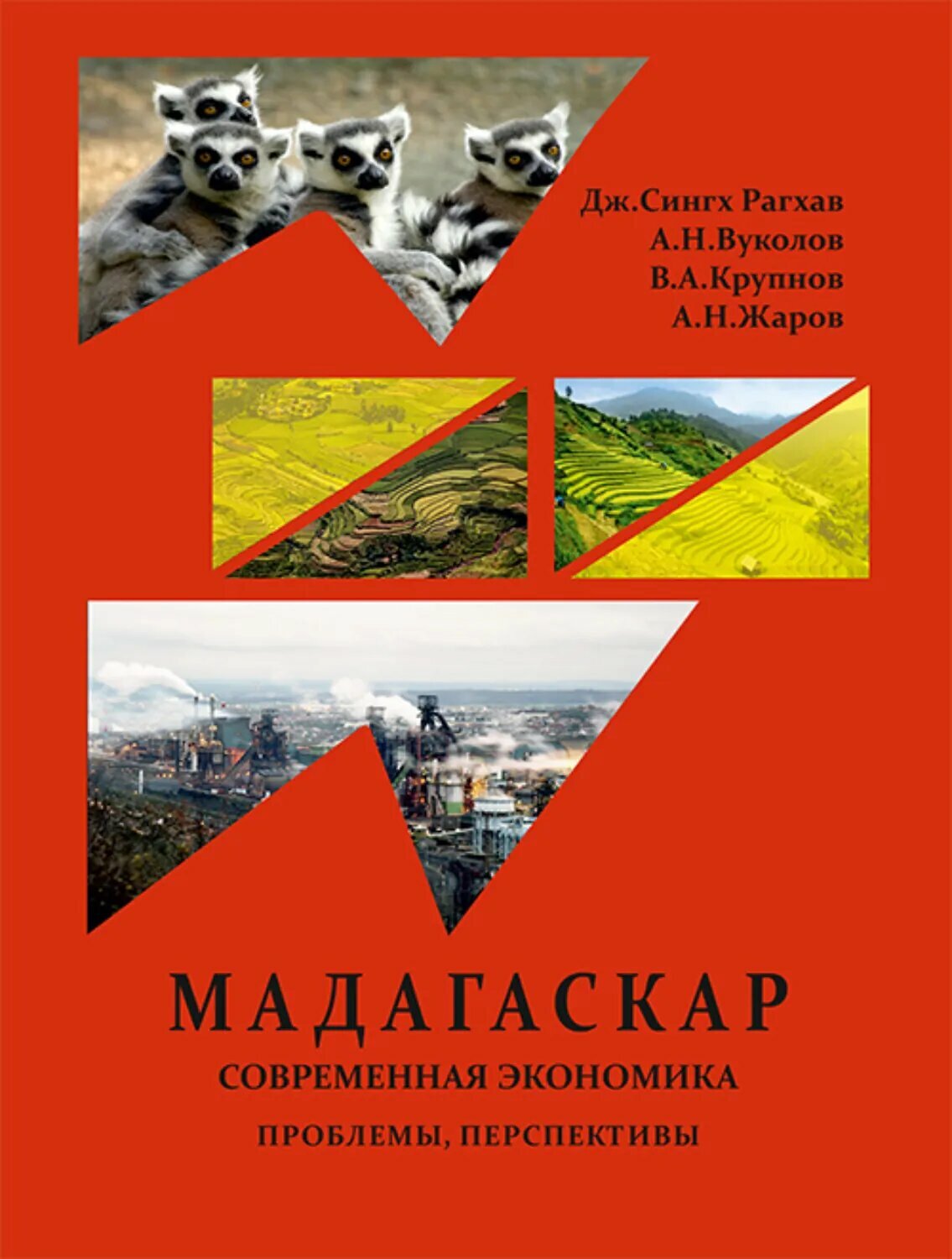 Республика Мадагаскар. Современная экономика (проблемы, перспективы) [Цифровая книга]