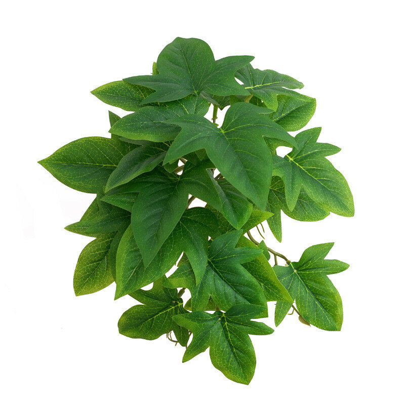 Растение monstera deliciosa с реалистичными листьями и деревянной опорой для интерьера и студийной съемки листья батата