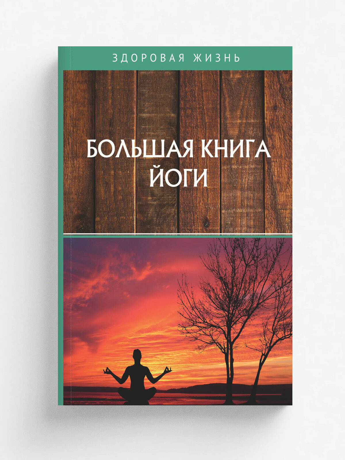Большая книга йоги