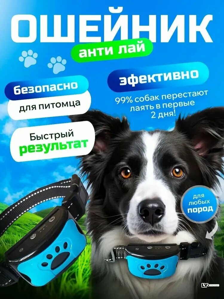 Ошейник антилай для собак синий