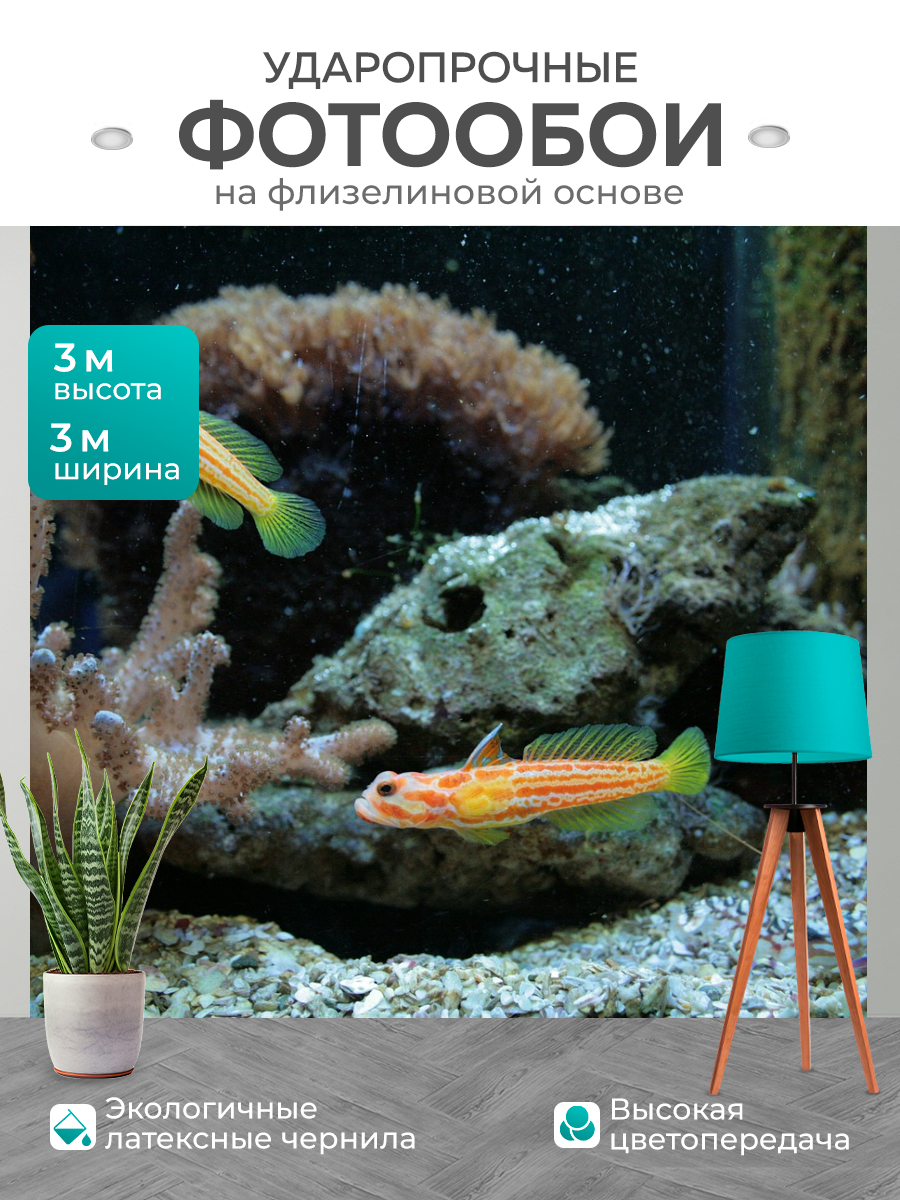 Фотообои моющиеся ударопрочные "Морской рыбы, аквариумные рыбки, аквариум" 300x300 см. флизелиновые на стену