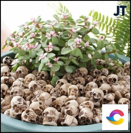 Набор черепов на Хэллоуин: 20 готических фигурок из смолы для декора и цветочных горшков