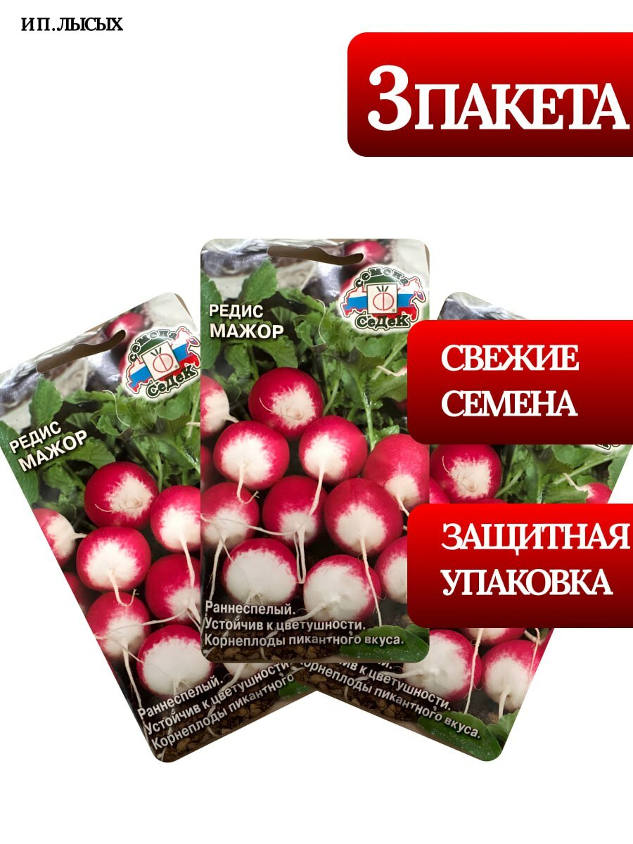 Семена Редис "Мажор"