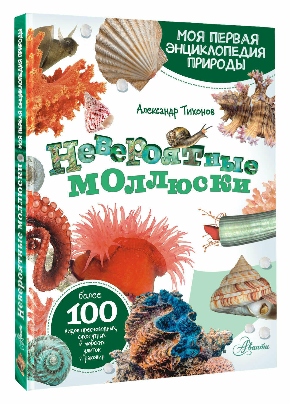 "Невероятные моллюски" Тихонов А. В. книга от издательства АСТ