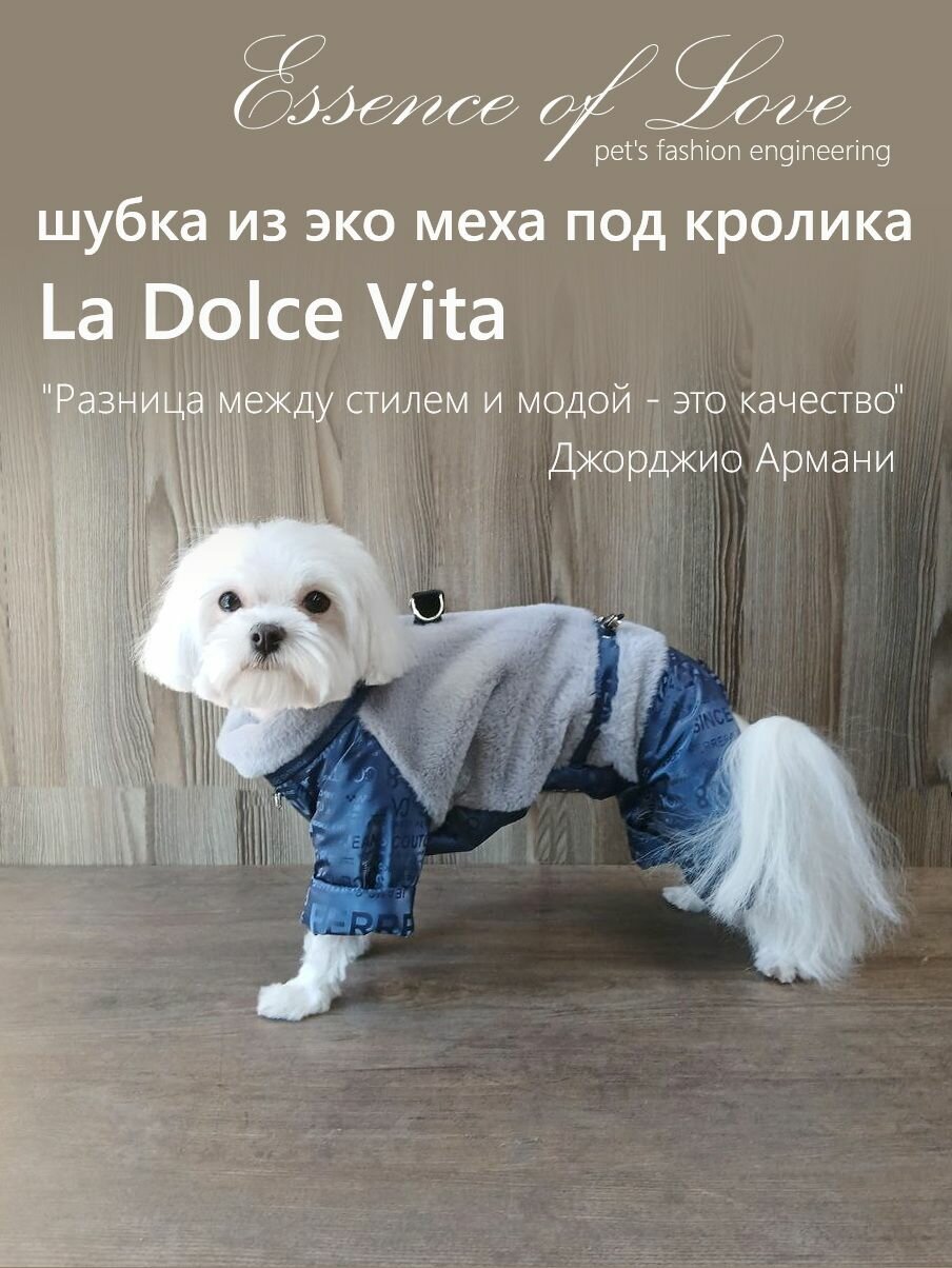 Шубка из эко меха под кролика Icy Haze для мелких пород собак (Male) Essence of Love