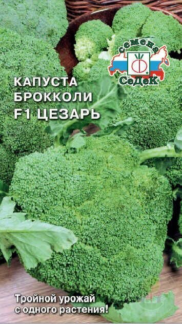Семена Капуста брокколи "Цезарь F1" раннеспелый "СеДек"