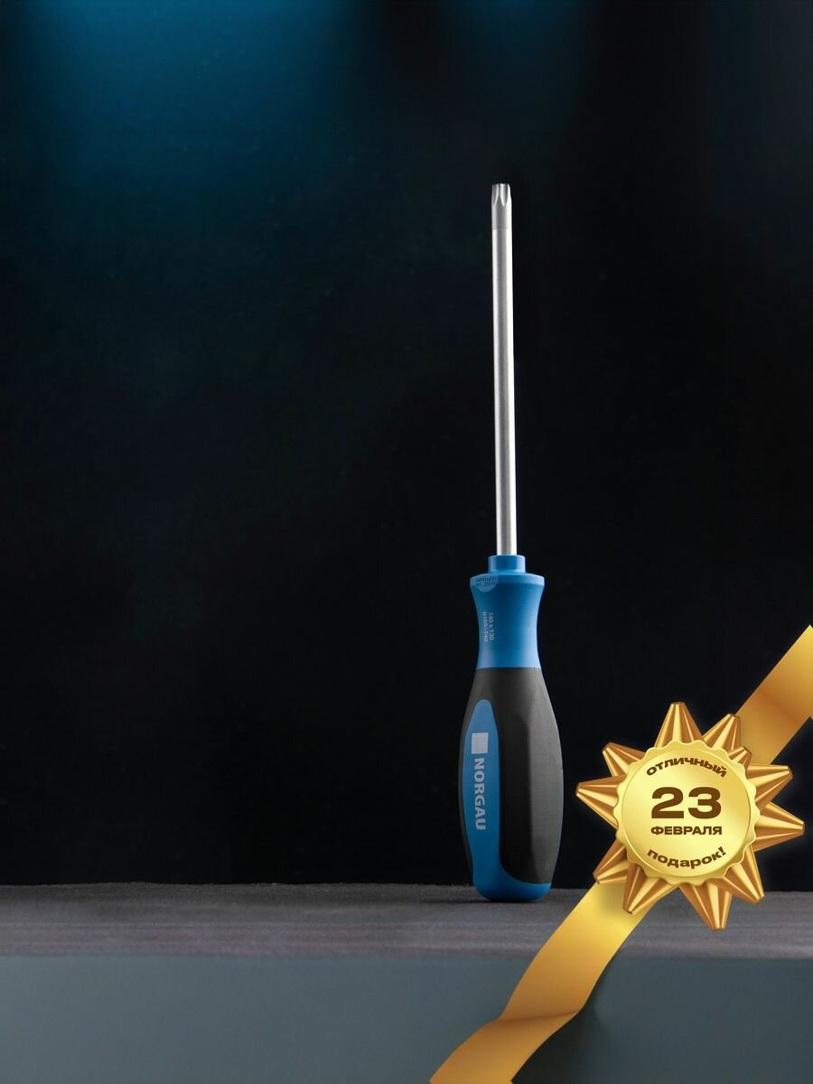 Отвертка Torx T40х130, NORGAU Industrial с закаленным стержнем из CrVMo стали и двухкомпонентной рукояткой