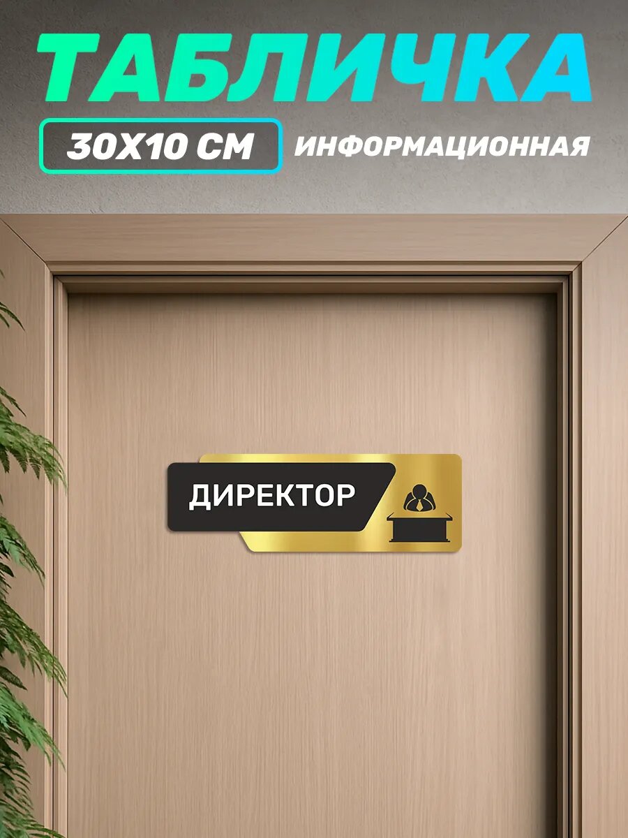 Табличка на дверь информационная для офиса Директор