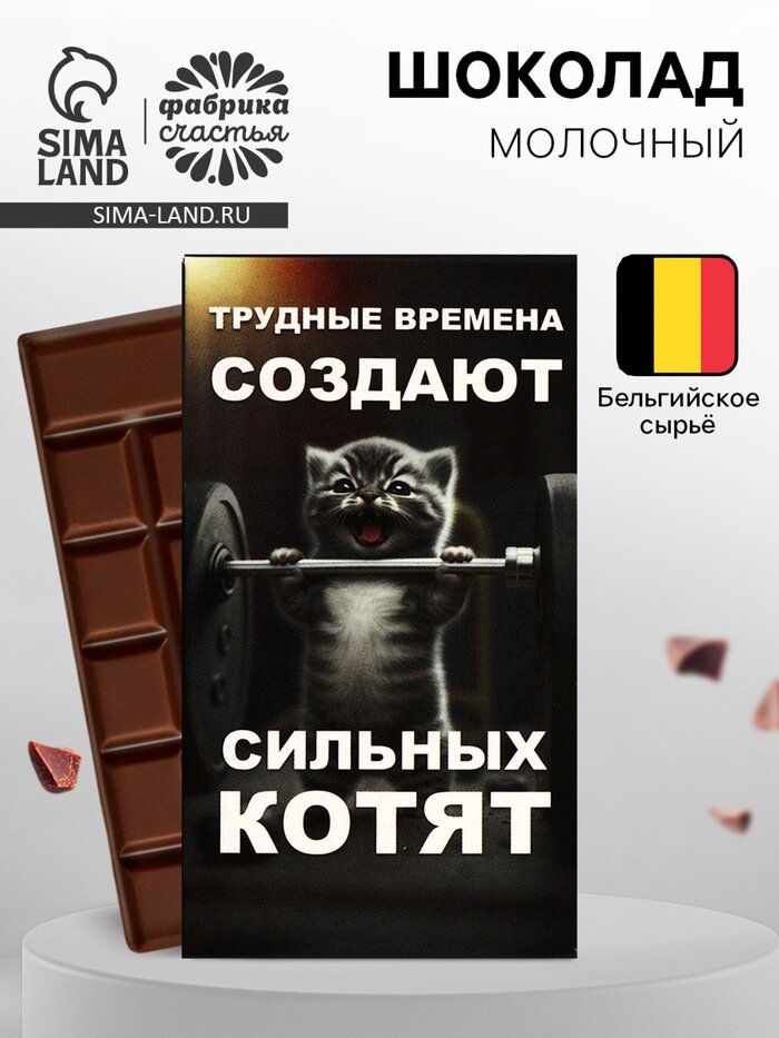 Шоколад молочный Трудные времена 27 г, 2 шт.