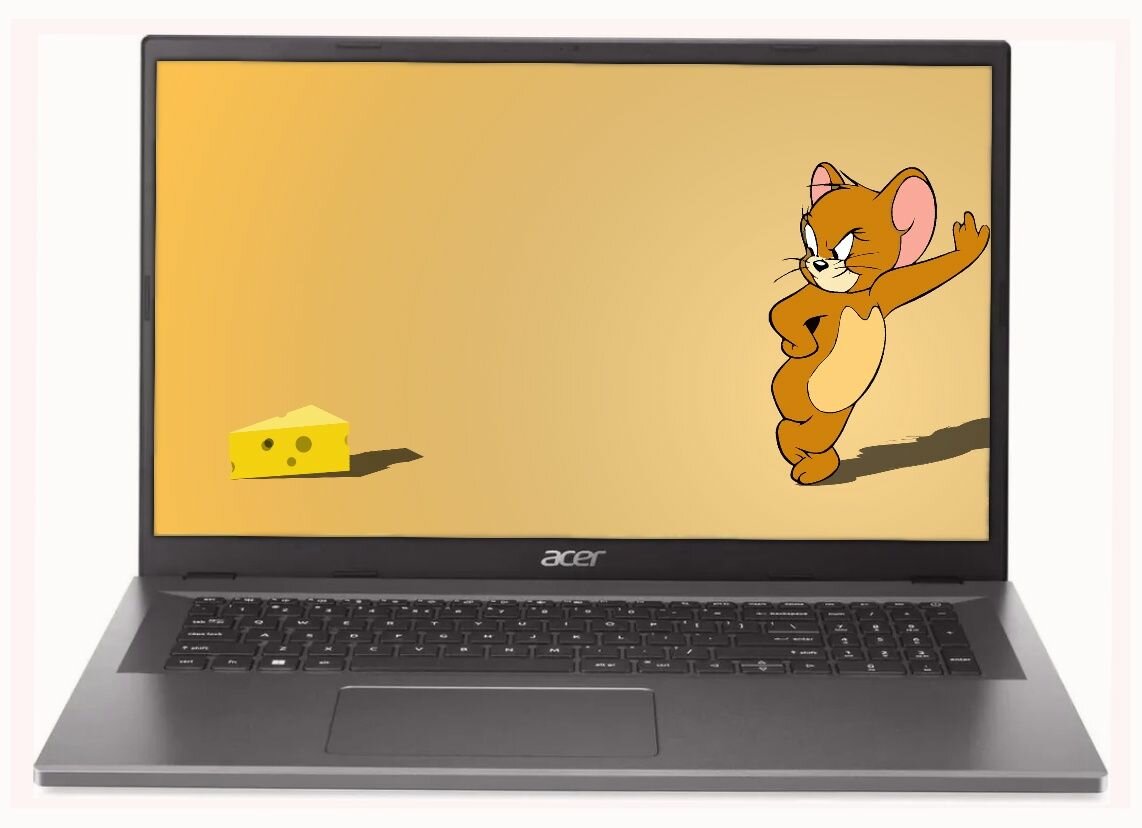 Ноутбук Acer Intel N-Series 2,8ГГц 4 ядер. 17' 1920x1080 Intel UHD Graphics Xe 24EUs Windows 11 Pro Русская раскладка