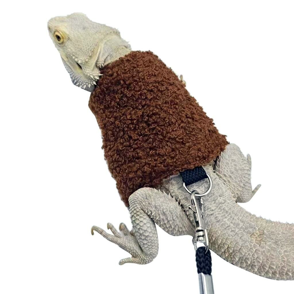 Хомут-поводок для рептилий, 2