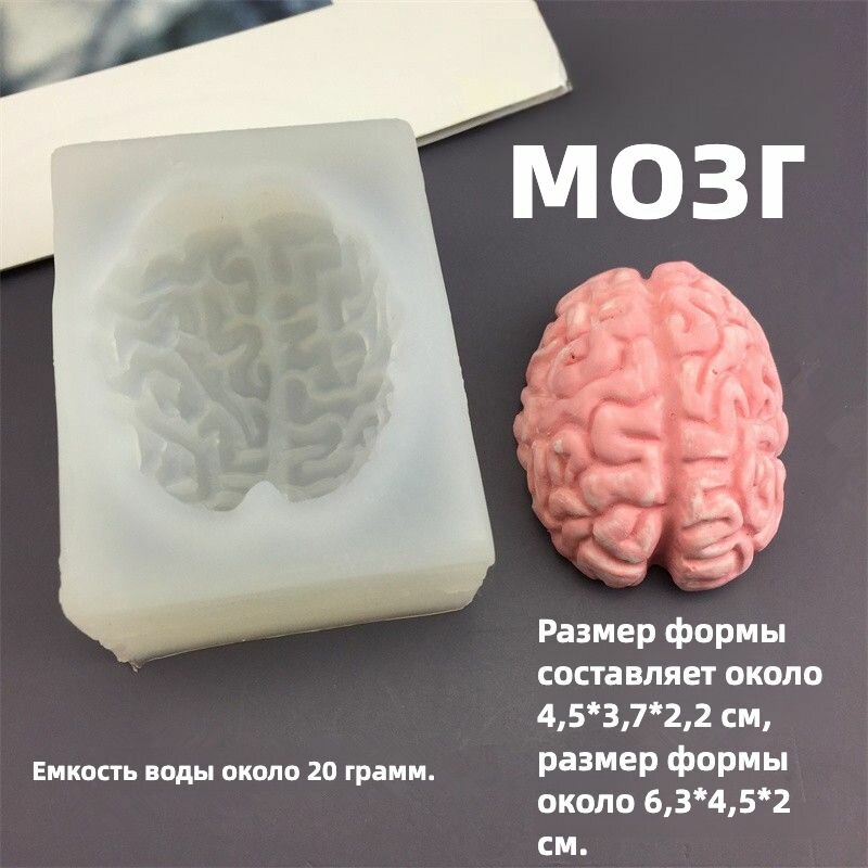 Форма силиконовая "Мозг, Сердце" - Хэллоуин DIY свечи, мыло, декор